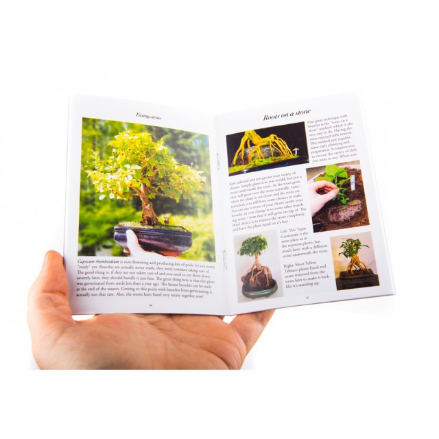 CHILILAJITELMA 'Bonchi Kit' 4x