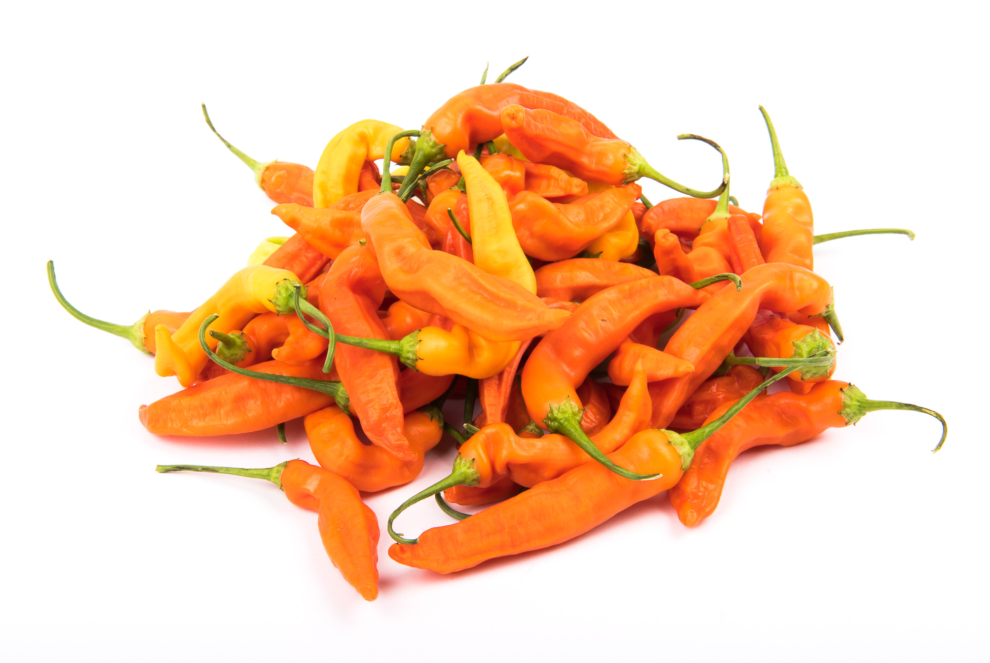 Aji Amarillo » Fatalii Seeds