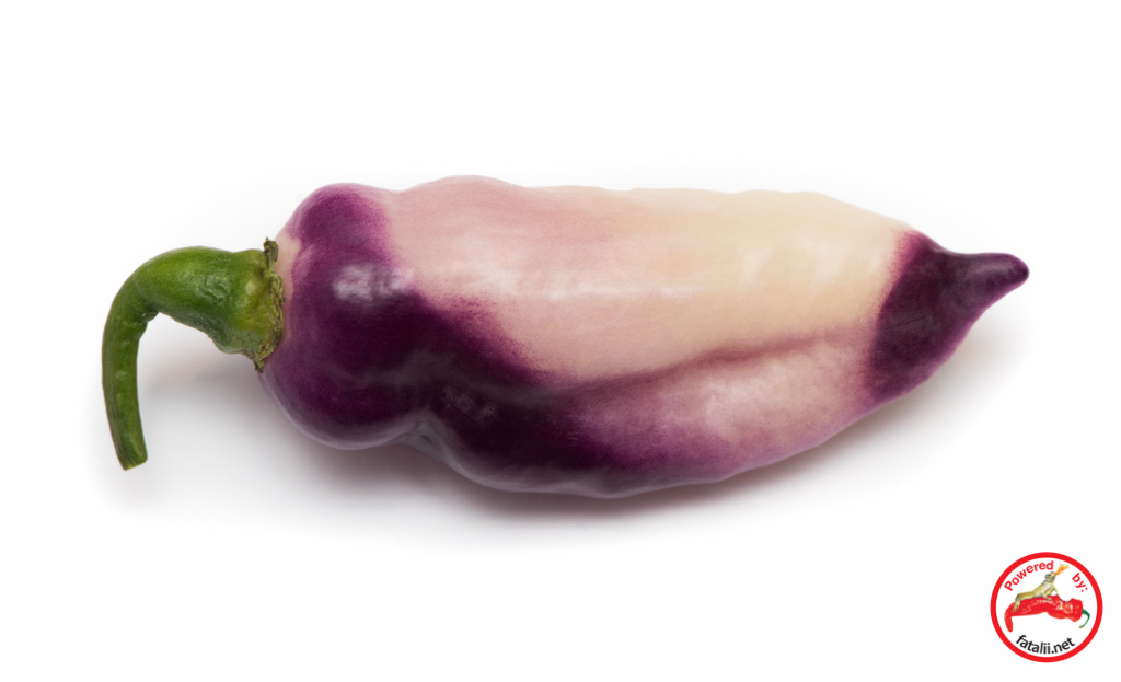 Smooth White » Fatalii Seeds