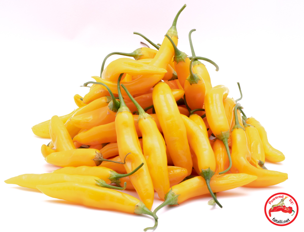 Aji Cito » Fatalii Seeds