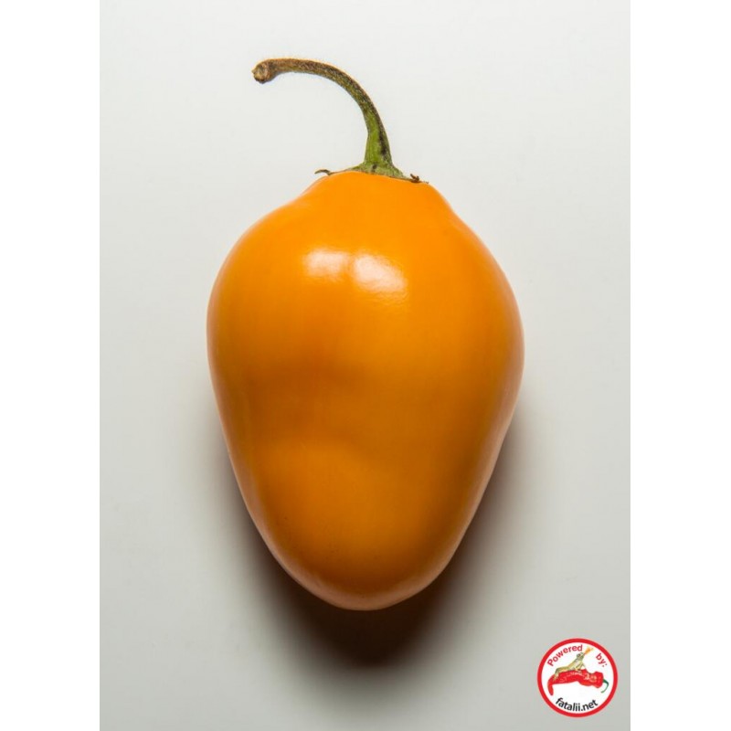 Rocoto, Guatemala Orange » Fatalii Seeds